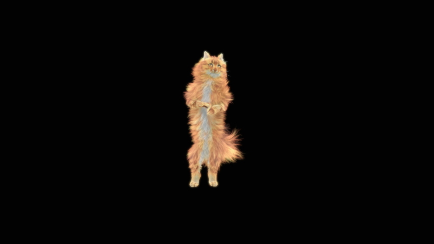 Cat Dancing Cg Fur. 3d Stock Footage Video (100% Royalty-free ...