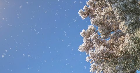 winter scene animated snow loop Stock Footage Video (100% Royalty-free ...