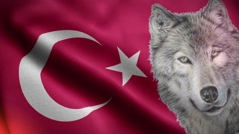 Turkey Flag Rippling Fabric Wolf Logo Stock Footage Video (100% Royalty ...