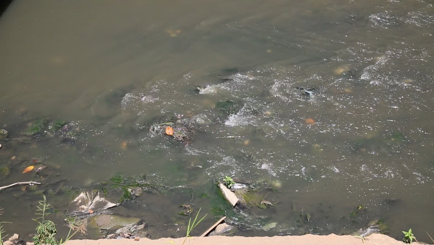 Rotten pipe Stock Video Footage - 4K and HD Video Clips | Shutterstock