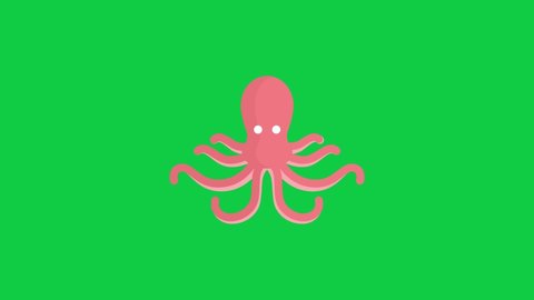 Green screen octopus Stock Video Footage - 4K and HD Video Clips ...