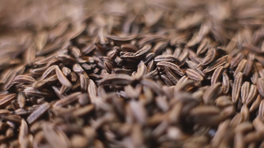 Fennel Seeds Stock Video Footage - 4K and HD Video Clips | Shutterstock