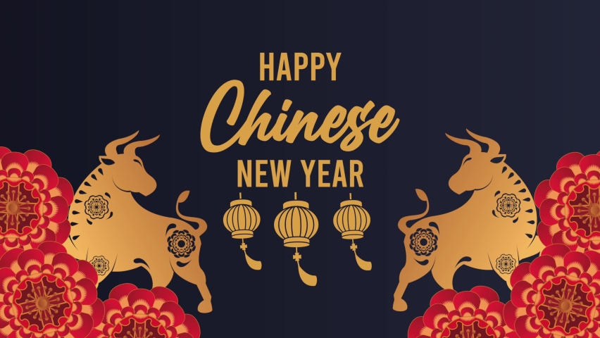 Chinese Lettering Stock Video Footage - 4K and HD Video Clips ...