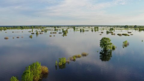 Spring Overflow Landscape Trees Bush Impounded Stock Footage Video (100 ...