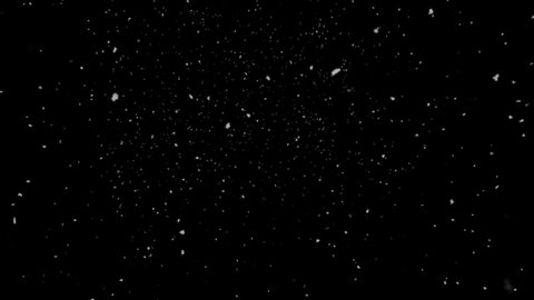 Seamless Loop White Snow Falling Winter Stock Footage Video (100% ...