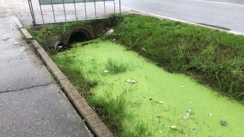 Disgusting Little River with Green Stock Footage Video (100% Royalty ...