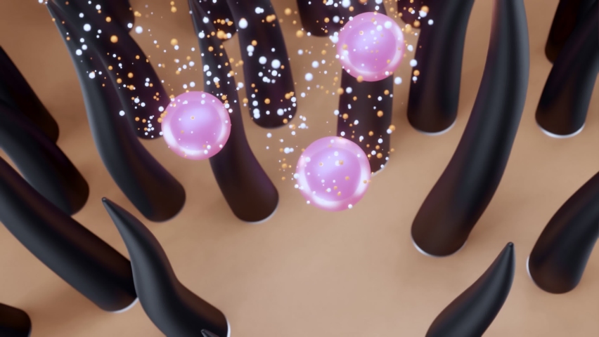 Hair Care Animation Nourish Hair Action Stock Footage Video (100% ...