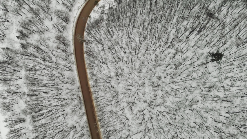 Stock Video Portfolio by Dmitry Minaev | Shutterstock