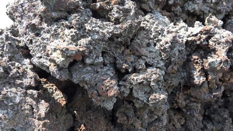 14 Spongy ground Stock Video Footage - 4K and HD Video Clips | Shutterstock