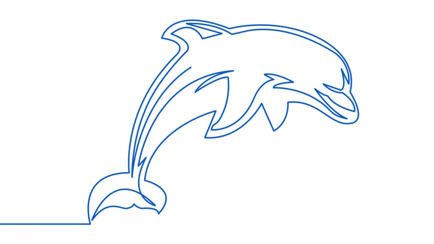 Stylized Dolphin Stock Video Footage - 4K and HD Video Clips | Shutterstock