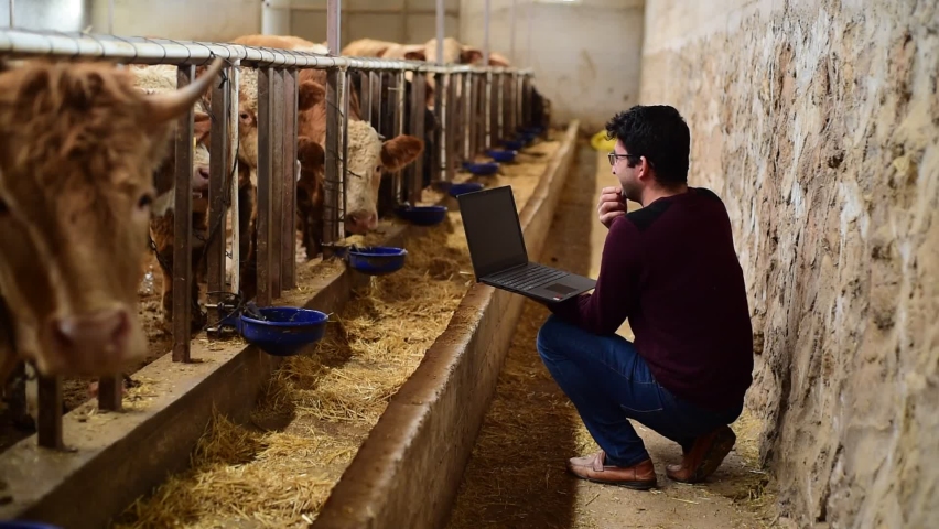 smart modern livestock farming concept young Stock Footage Video (100% ...