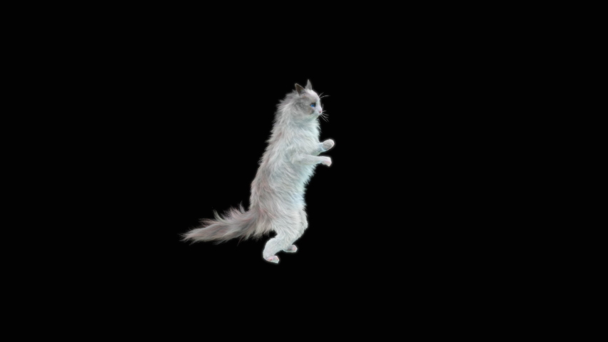 Cat Dancing Cg Fur. 3d Stock Footage Video (100% Royalty-free ...