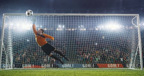 Dramatic Soccer Moment On Professional Stadium Stock Footage Video (100 ...