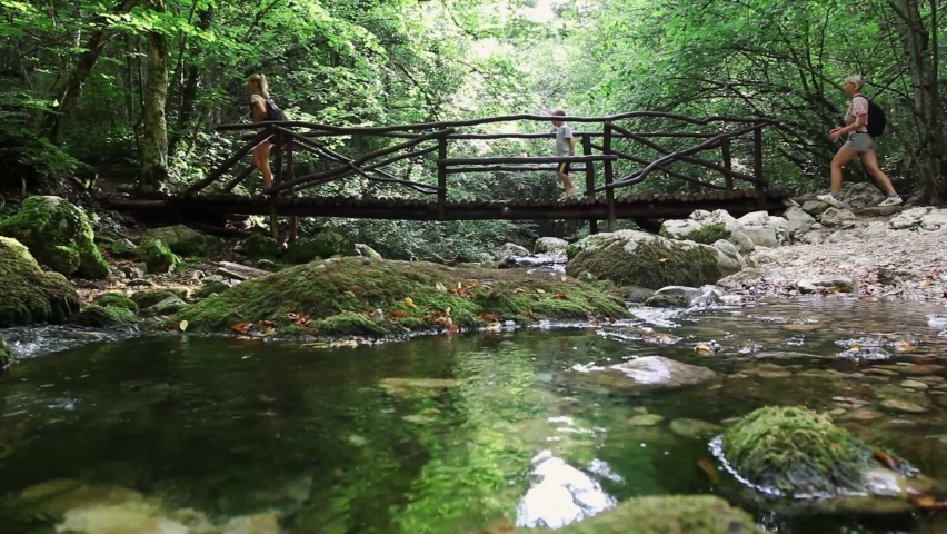 Log footbridge Stock Video Footage - 4K and HD Video Clips | Shutterstock