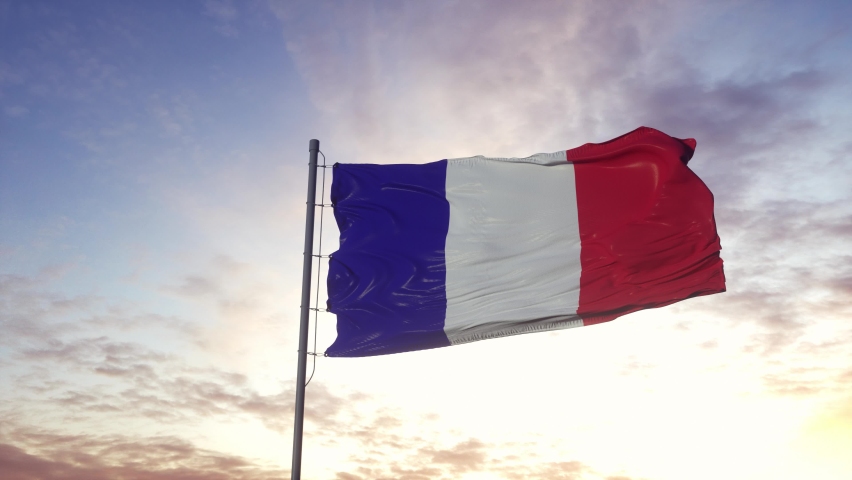 French National Flag Fluttering in Stock Footage Video (100% Royalty ...