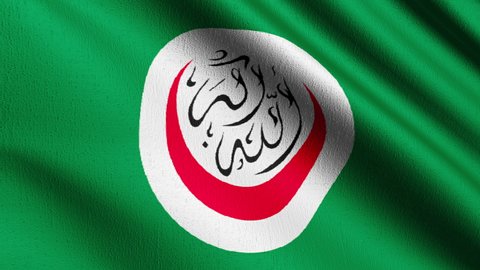 Oic flag Stock Video Footage - 4K and HD Video Clips | Shutterstock