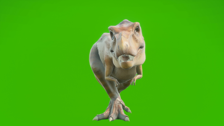 Animation of a dinosaur velociraptor. Seamless loop. Velociraptor on ...