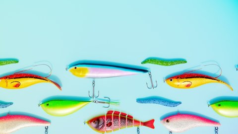 Seamless Looping Animation Assorted Colourful Fish Stock Footage Video ...