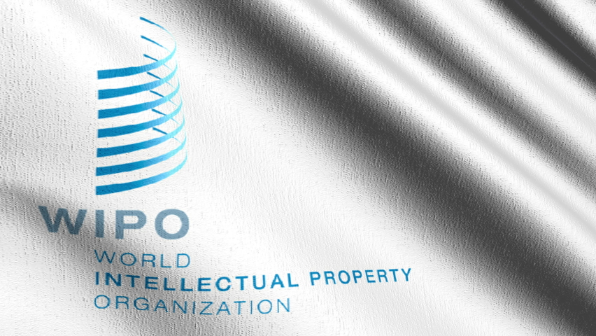 seamless loop 4k vdo flag wipo Stock Footage Video (100% Royalty-free ...