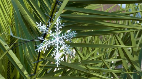 Mature Marijuana Plant Bud Leaves Texture Stock Photo 1226000389 ...