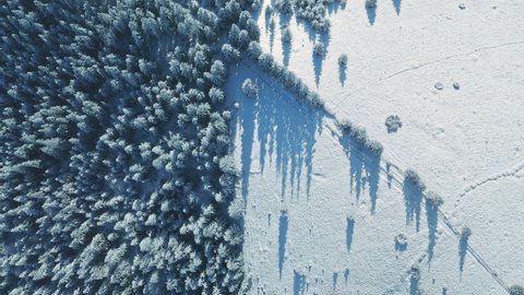 Top Down Aerial Snow Mountain Pine Stock Footage Video (100% Royalty ...