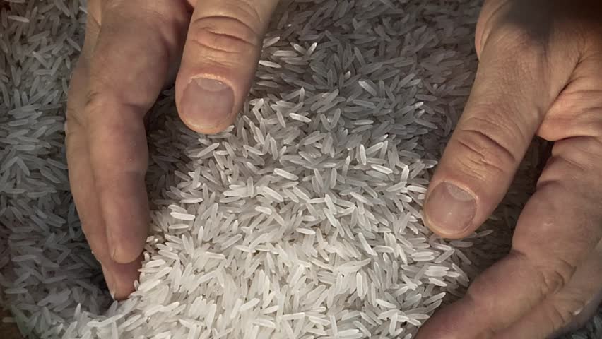 Unprocessed Rice Being Poured from Stock Footage Video (100% Royalty ...