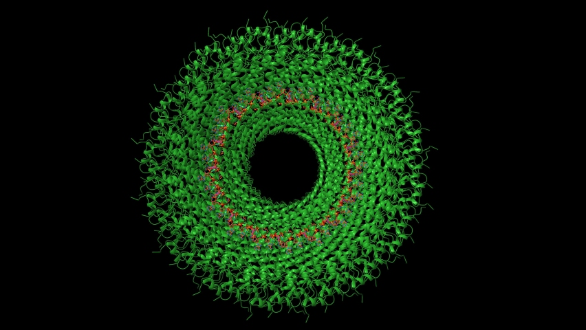 Tobacco Mosaic Virus Stock Video Footage - 4K and HD Video Clips ...