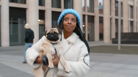 Beautiful African Woman Holding Adorable Pug Stock Footage Video (100% ...