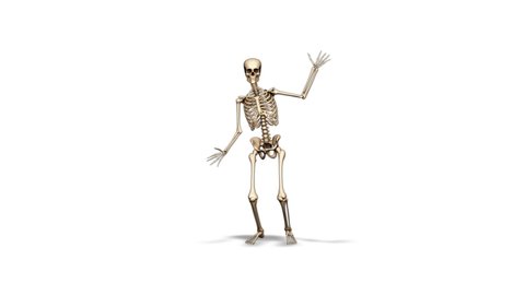 Set Vector Design Elements Funny Skeletons Stock Vector (Royalty Free ...