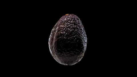 Beautiful Shiny Avocado On Black Isolated Stock Footage Video (100% ...