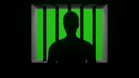 Man Behind Prison Bars Green Screen Stock Footage Video (100% Royalty ...