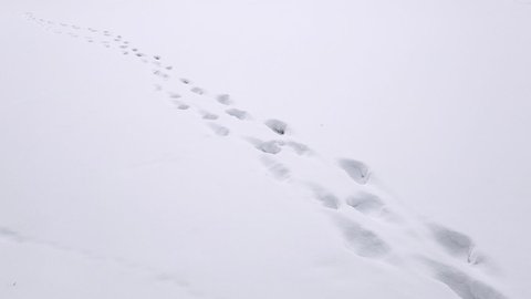 2 Receding Footprints Stock Video Footage - 4K and HD Video Clips ...