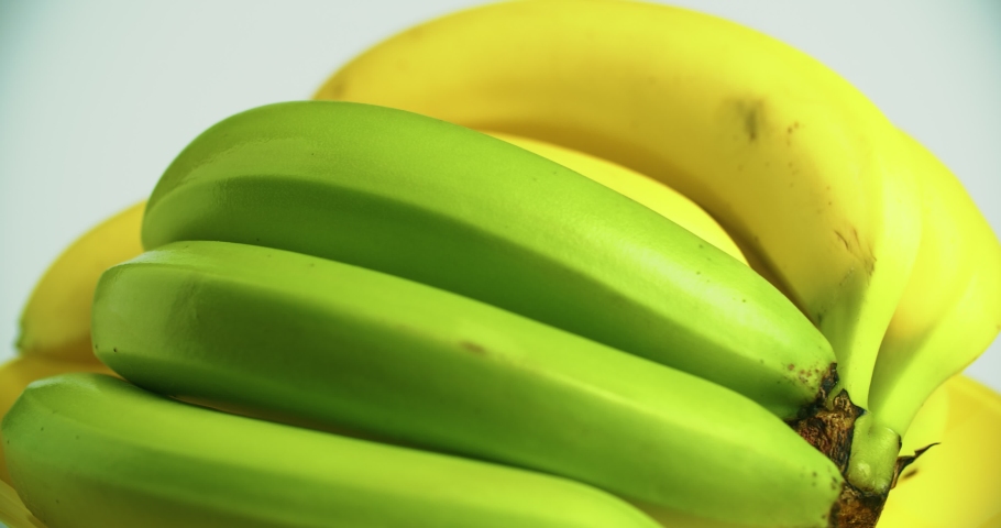 9 Focus stacked palm trees Stock Video Footage - 4K and HD Video Clips ...