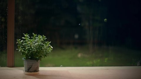 Light Rain Outside Window Blurry Background Stock Footage Video (100% ...