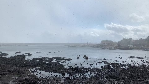 Wimi Port Raw Fish Center Jeju Stock Footage Video (100% Royalty-free ...