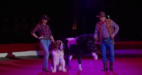 Trainers Their Animals On Stage Circus Stock Footage Video (100% ...