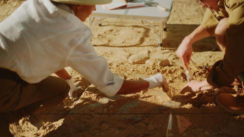 archaeological digging site two great archeologists Stock Footage Video ...