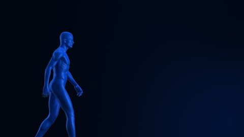 Animation Blue Human Model Walking Over Stock Footage Video (100% ...