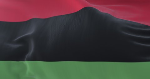 102 Pan african flag Stock Video Footage - 4K and HD Video Clips ...