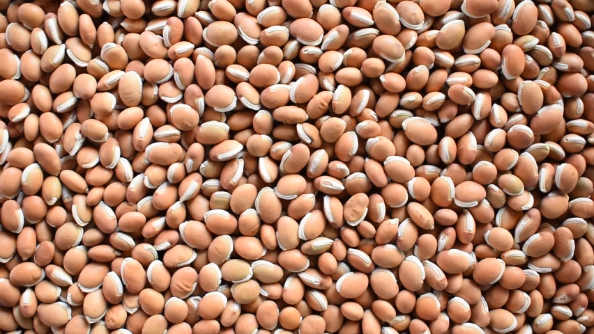 Papdi beans Stock Video Footage - 4K and HD Video Clips | Shutterstock