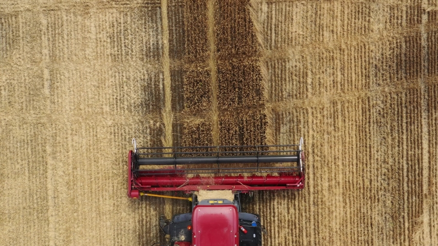 Aerial Top View Combine Harvester Finishing Stock Footage Video (100% ...