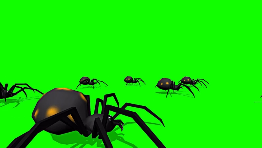 spiders walking on green screen Stock Footage Video (100% Royalty-free ...