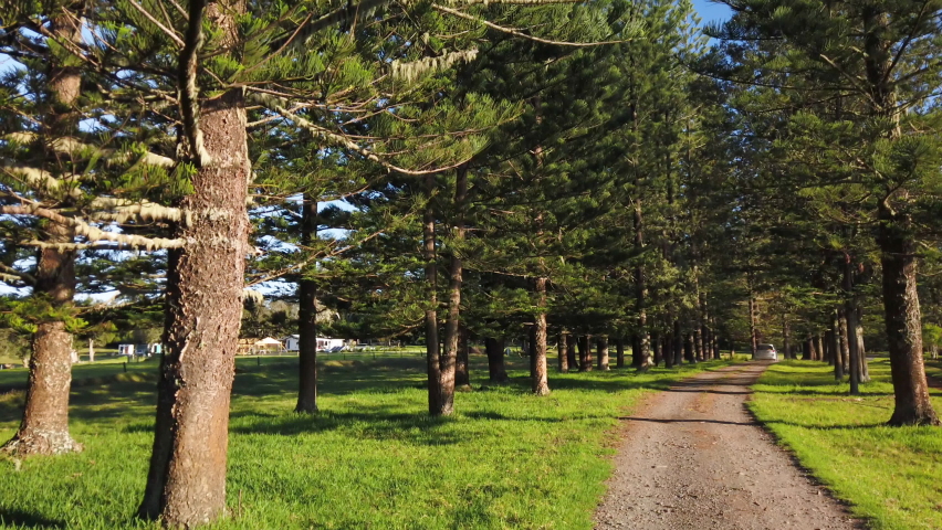 Pine Tree Triangles Stock Video Footage - 4K and HD Video Clips ...