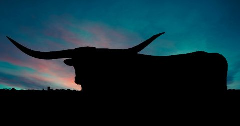Texas Longhorn Sunset Red Blue Sky Stock Footage Video (100% Royalty ...