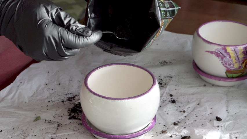 A Womans Hand Planting Wheat Stock Footage Video (100% Royalty-free ...