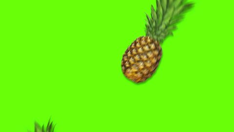 Chroma Key Cinematic Footage Every Videos Stock Footage Video (100% ...