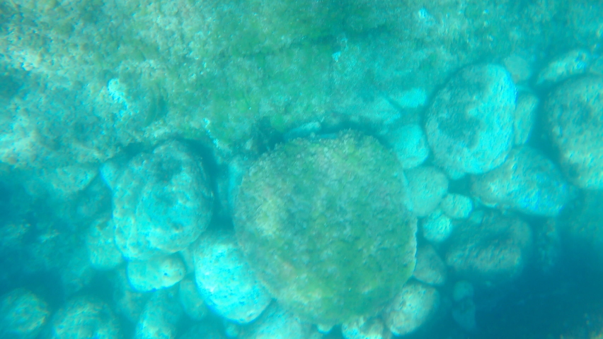 Underwater Part Sea Stock Video Footage - 4K and HD Video Clips ...