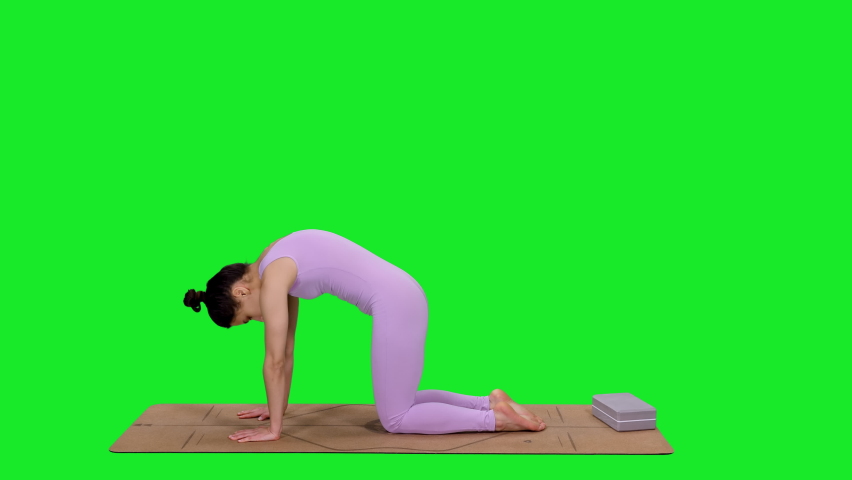 Sporty Fit Woman is Doing Stretching “Cat” Exercises during Workout in ...