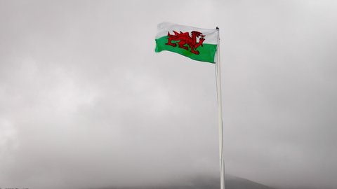 Welsh Flag Red Dragon On Green Stock Photo 1118862518 | Shutterstock