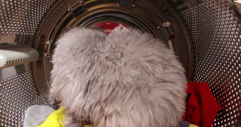 Funny Cat Sitting Washing Machine View Stock Footage Video (100% ...